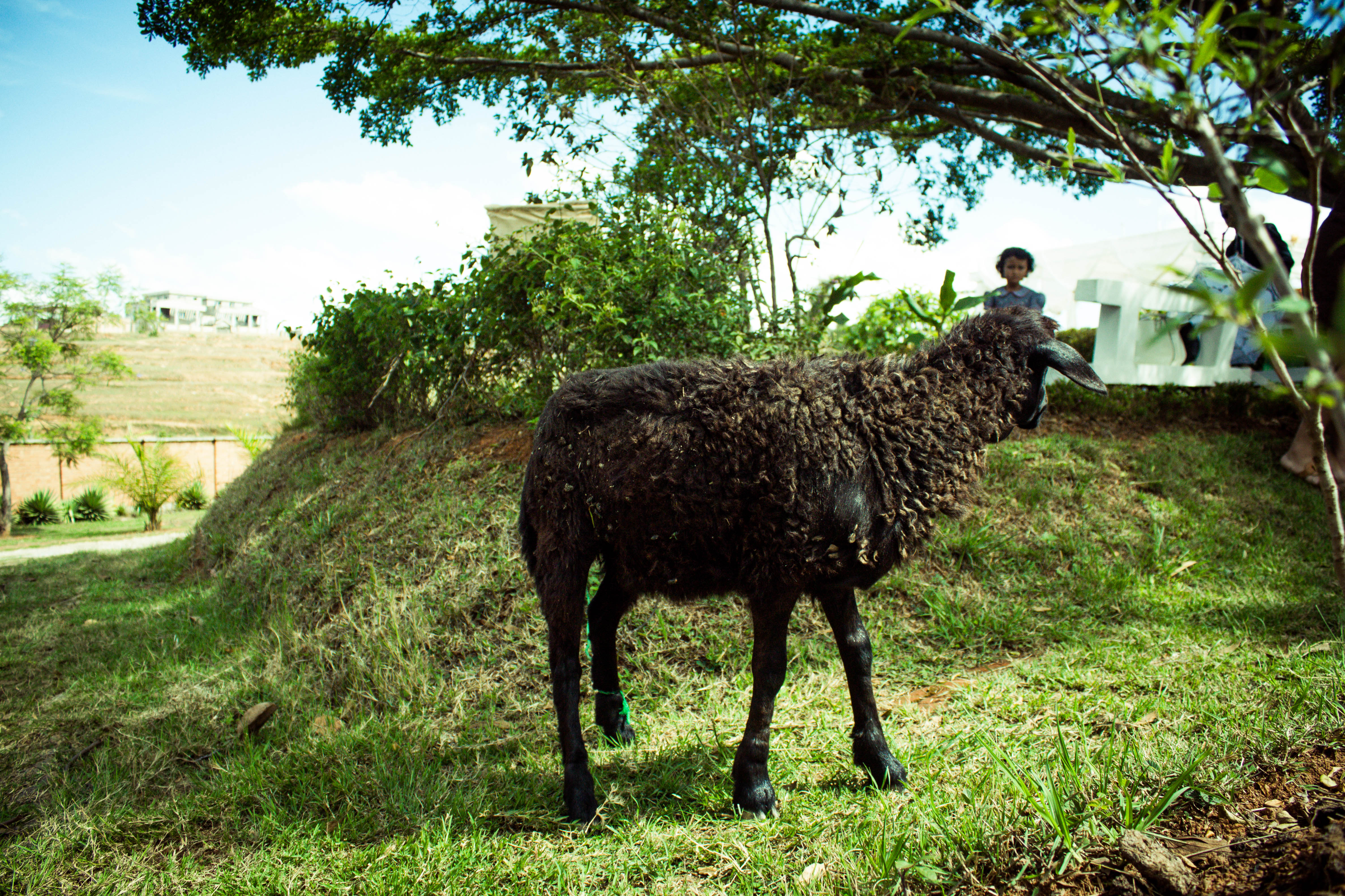 Vodiondry Malagasy, parlons-en! » Espace Les Colonnades - Salle de ...